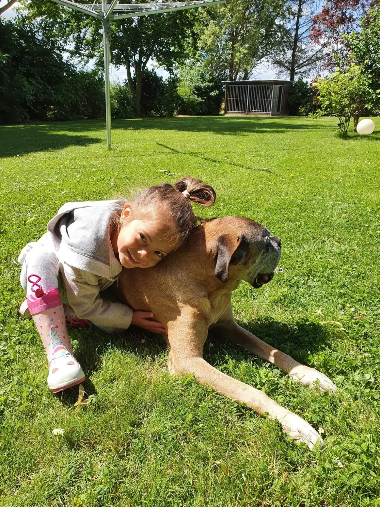 Arthos (*17.05.2009 - ︎18.02.2021) - ROSENGARTEN-Sterne