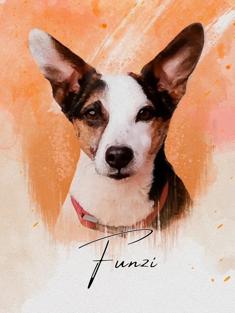 Funzi (*23.08.2011 - ︎21.05.2022) - ROSENGARTEN-Sterne