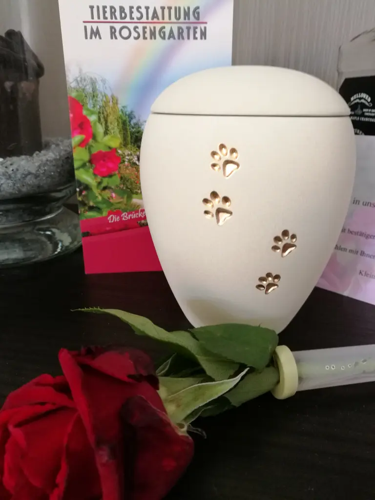 Bibi (*01.05.2000 - ︎03.06.2017) - ROSENGARTEN-Sterne