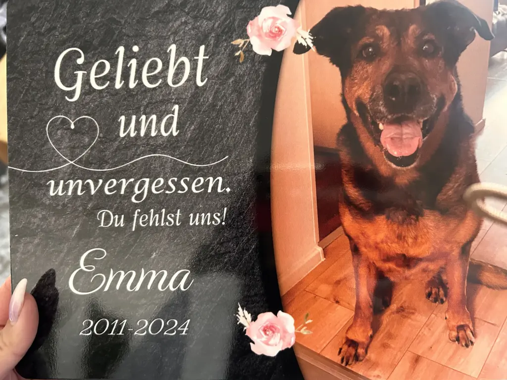 Emma (*13.06.2011 - ︎27.02.2024) - ROSENGARTEN-Sterne