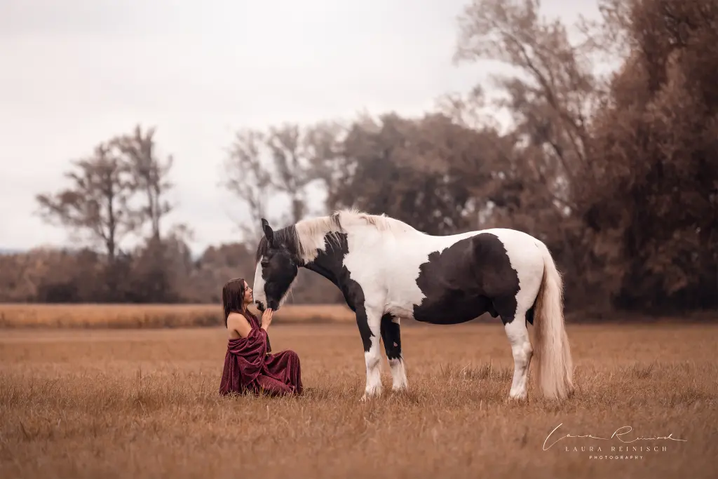 Balou (*2001 - ︎20.12.2024) - ROSENGARTEN-Sterne