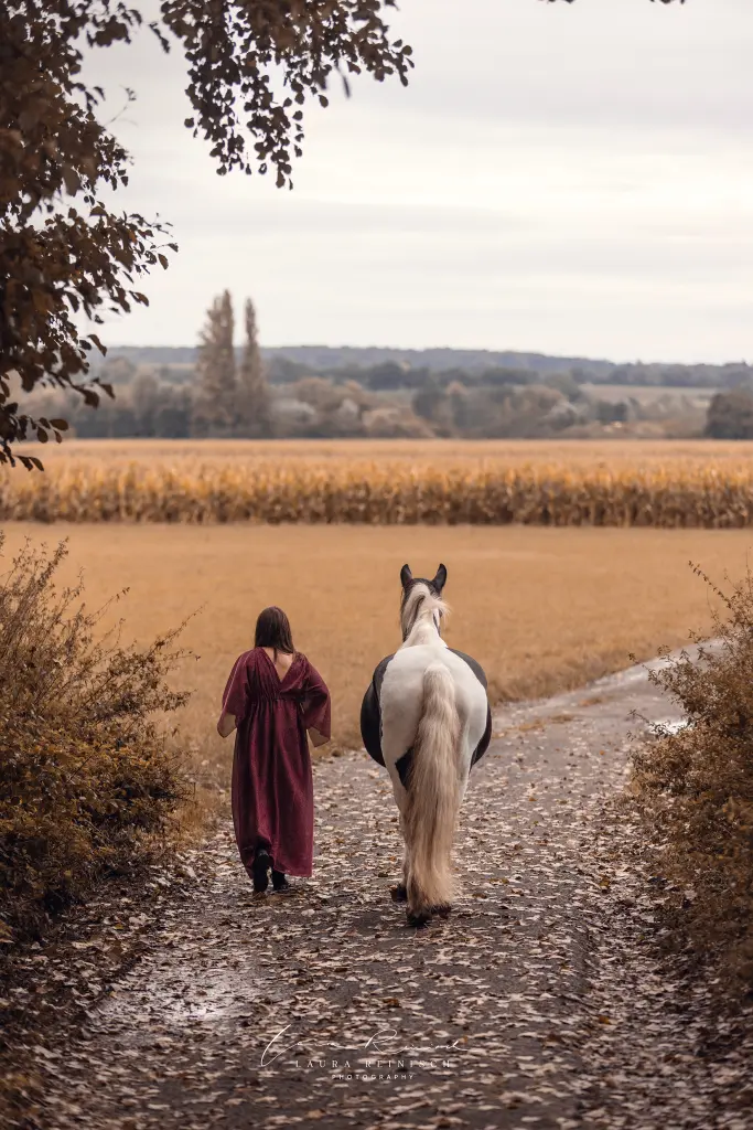 Balou (*2001 - ︎20.12.2024) - ROSENGARTEN-Sterne