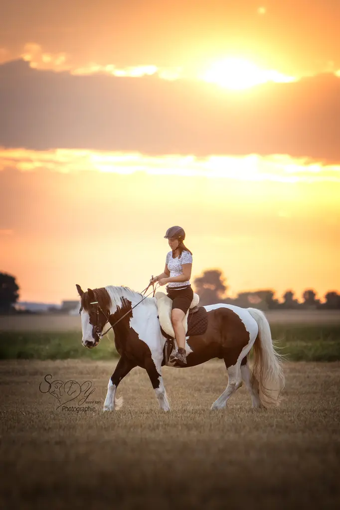 Balou (*2001 - ︎20.12.2024) - ROSENGARTEN-Sterne