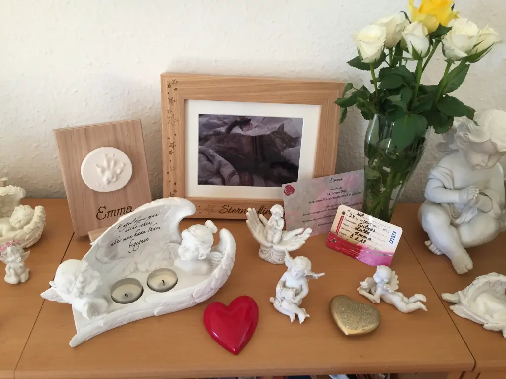 Emma (*16.06.2004 - ︎08.02.2018) - ROSENGARTEN-Sterne