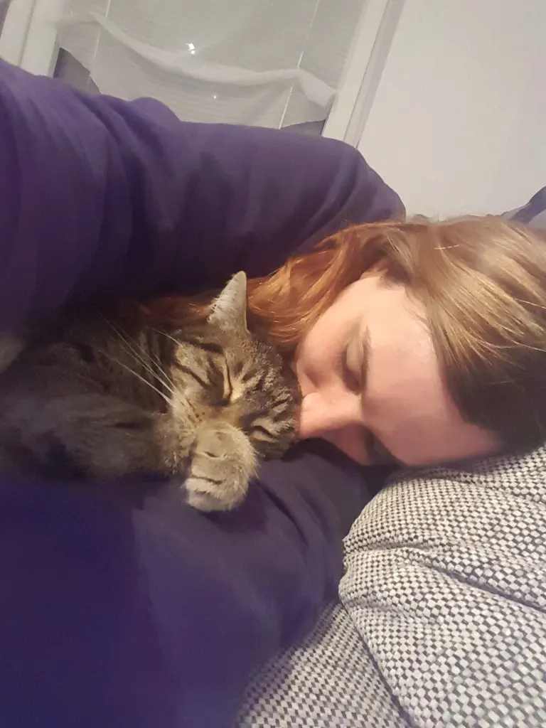 Django (*15.10.2011 - ︎20.07.2025) - ROSENGARTEN-Sterne