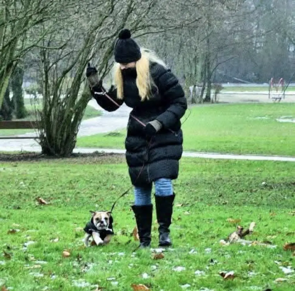 Spike (*29.09.2016 - ︎22.10.2025) - ROSENGARTEN-Sterne