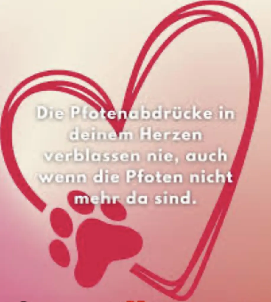 Rocky (*07.02.2019 - ︎26.10.2025) - ROSENGARTEN-Sterne